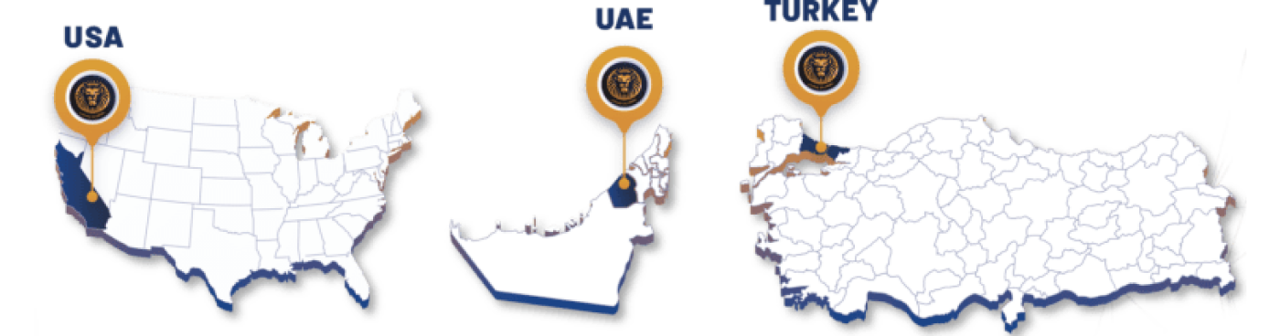 About Us – LyonsGlobal